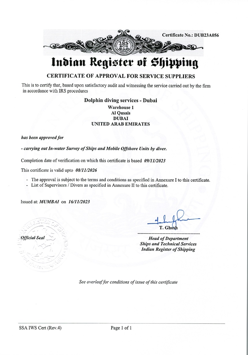 Home - Dolphin Diving Services