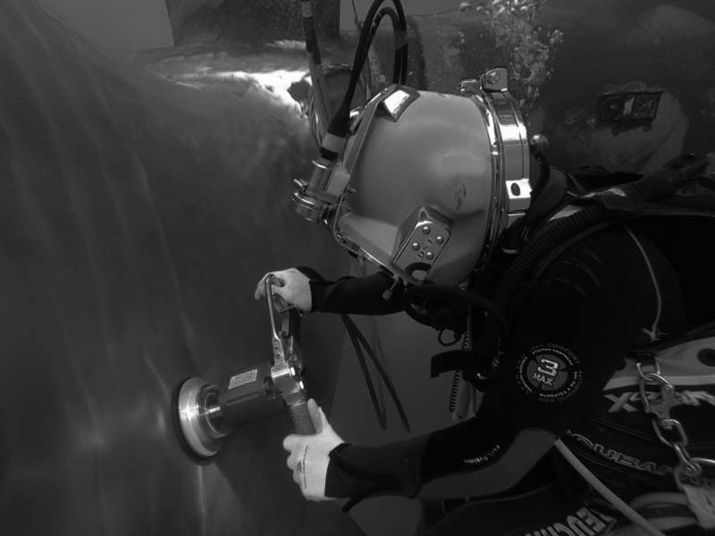 Ship Husbandry - Dolphin Diving Services