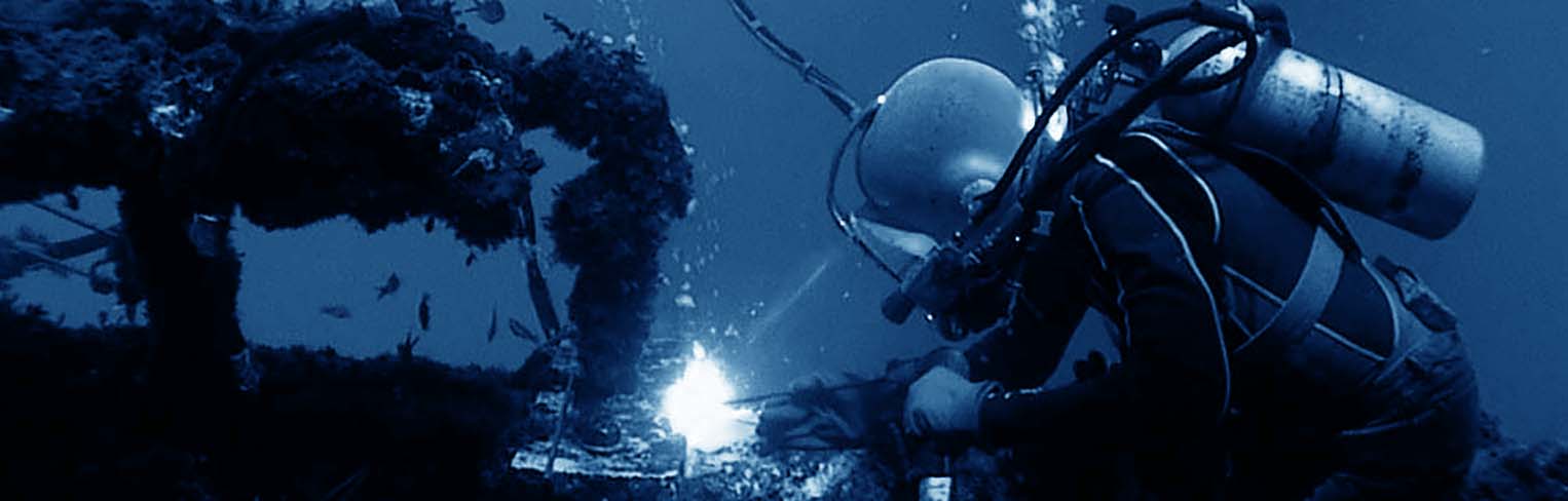 Services - Dolphin Diving Services