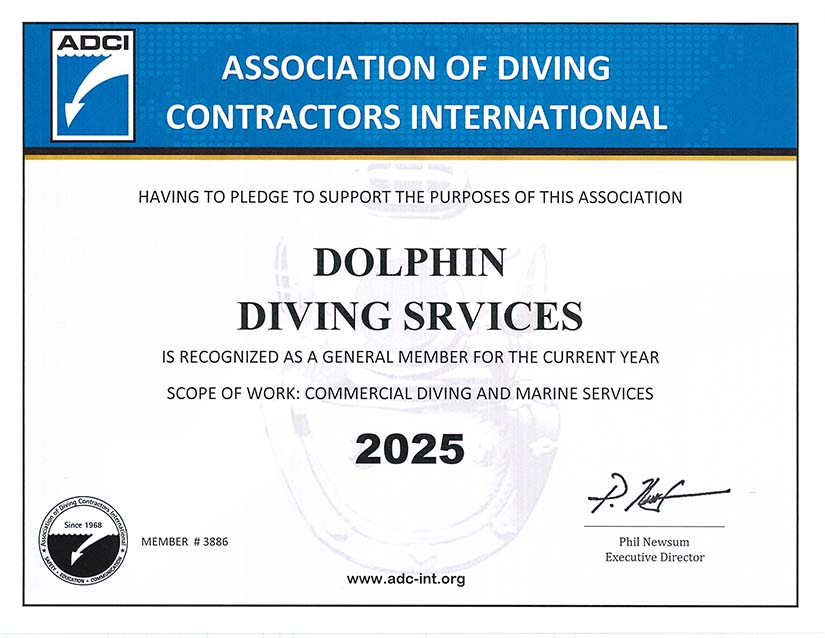 Home - Dolphin Diving Services