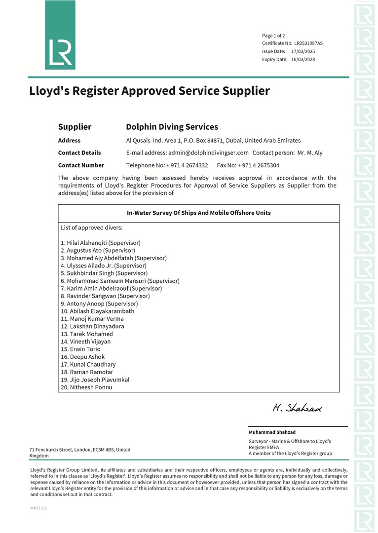 Home - Dolphin Diving Services