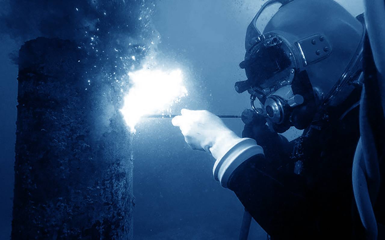 Home - Dolphin Diving Services