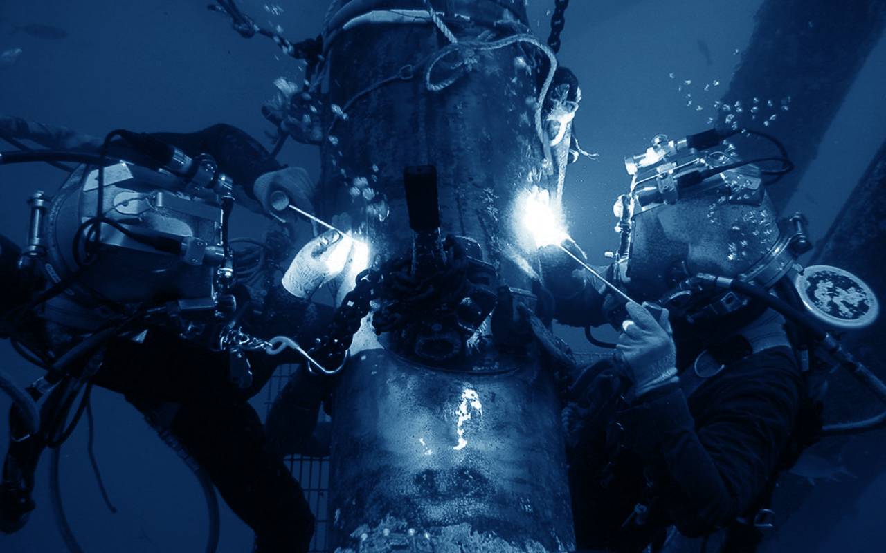 Home - Dolphin Diving Services